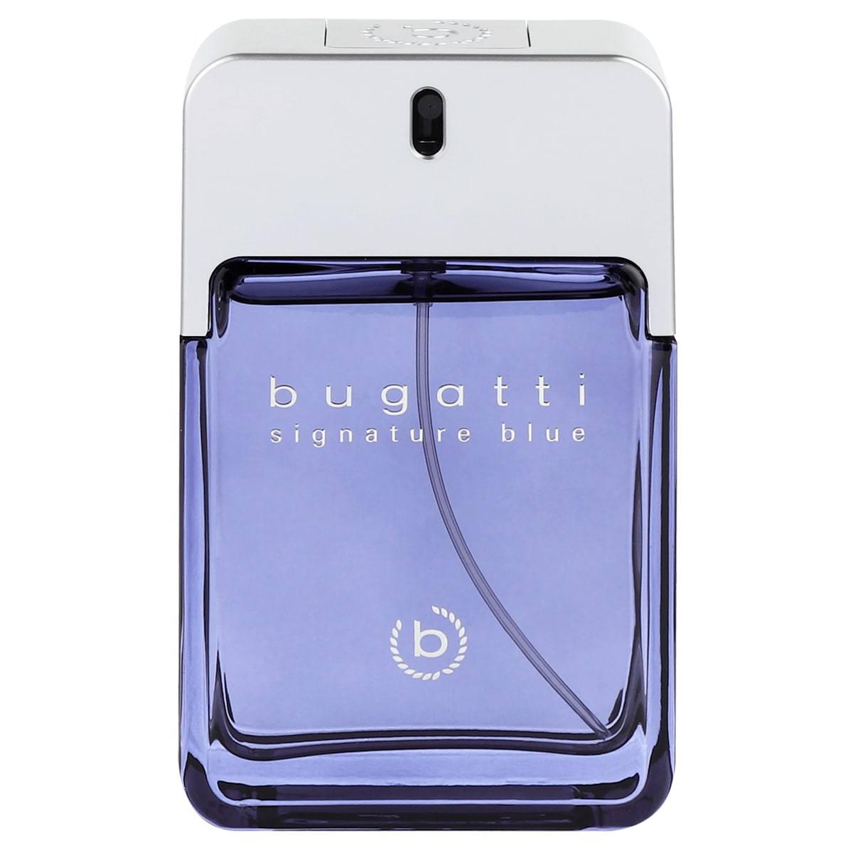 bugatti Signature Blue man edt, 100 ml | dm Bosna i Hercegovina