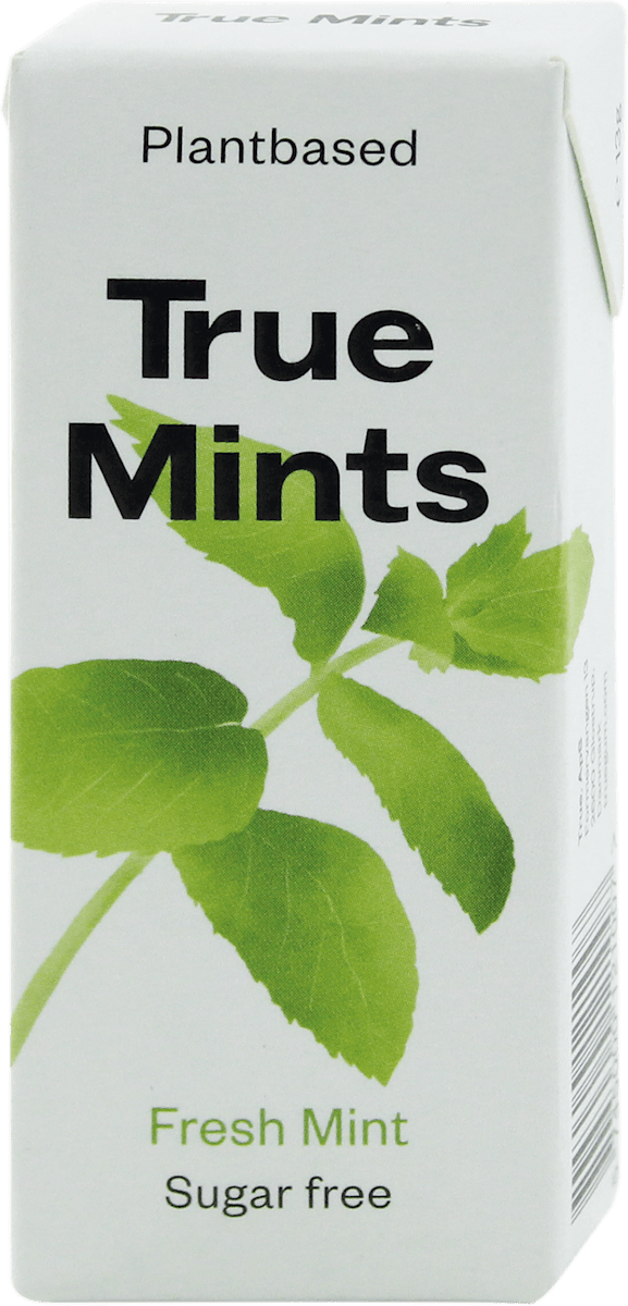 True Mints Pastilky Fresh Mint, 13 g | mojadm.sk