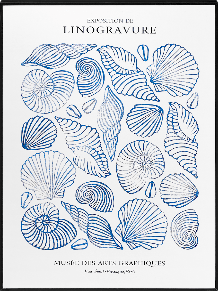 Dekorieren & Einrichten Wandbild "Muscheln", blau/weiß (40x30x2,5 cm ...