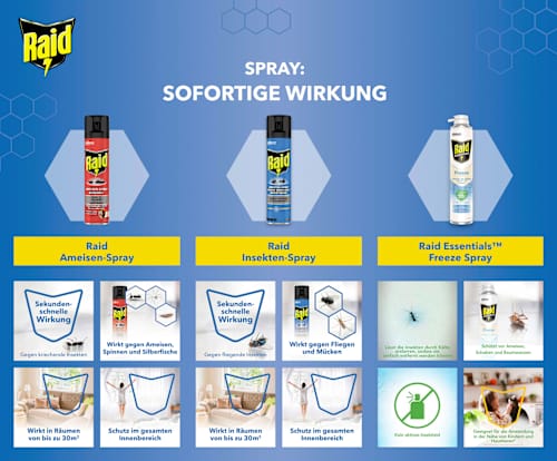 Raid ESSENTIALS Insektenspray Freeze Spray, 350 ml dauerhaft günstig ...